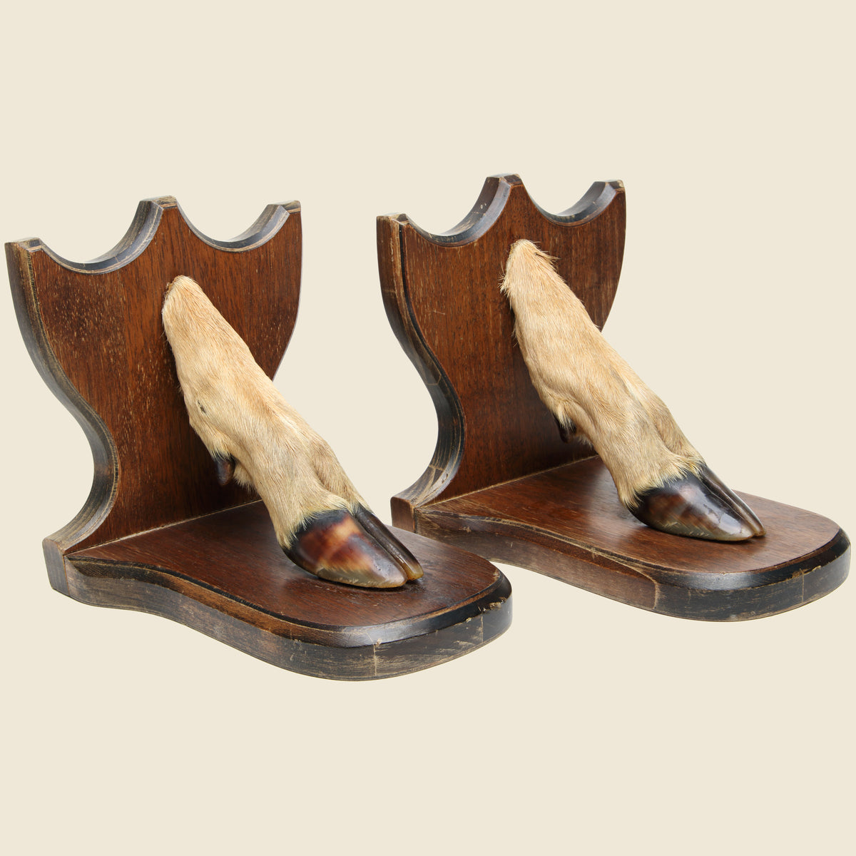 Deer Hoof Bookends – STAG Provisions