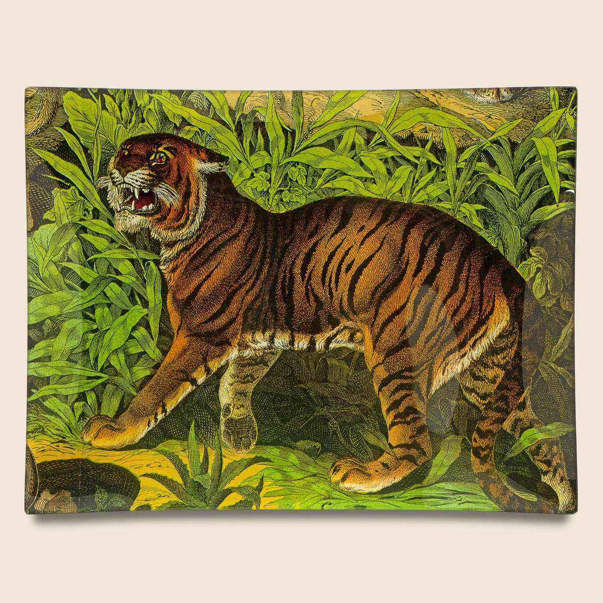 Tiger Tray – STAG Provisions